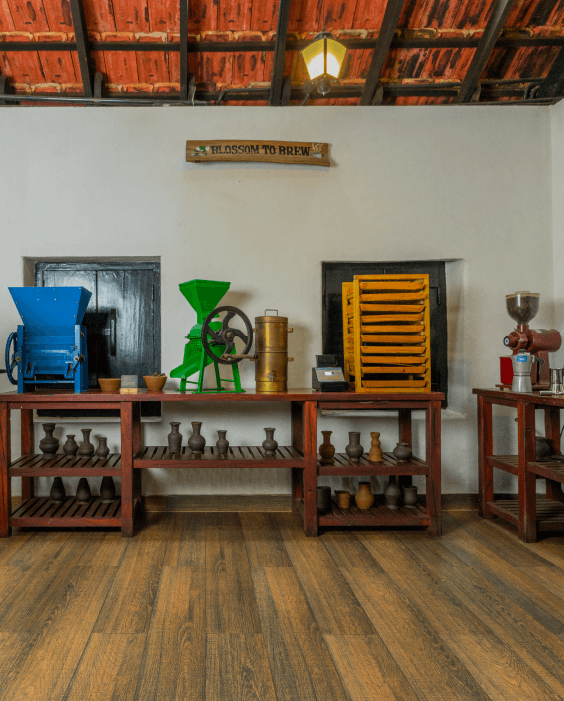 Wellness | The Tamara Resorts